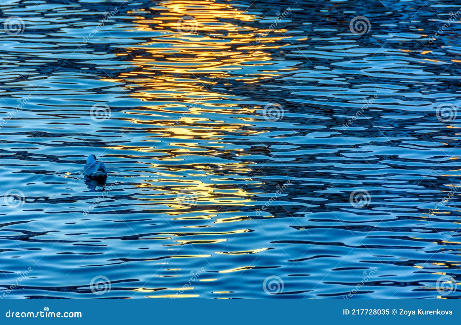 Evening River Water Texture with Light Reflection from a Lantern Stock ...