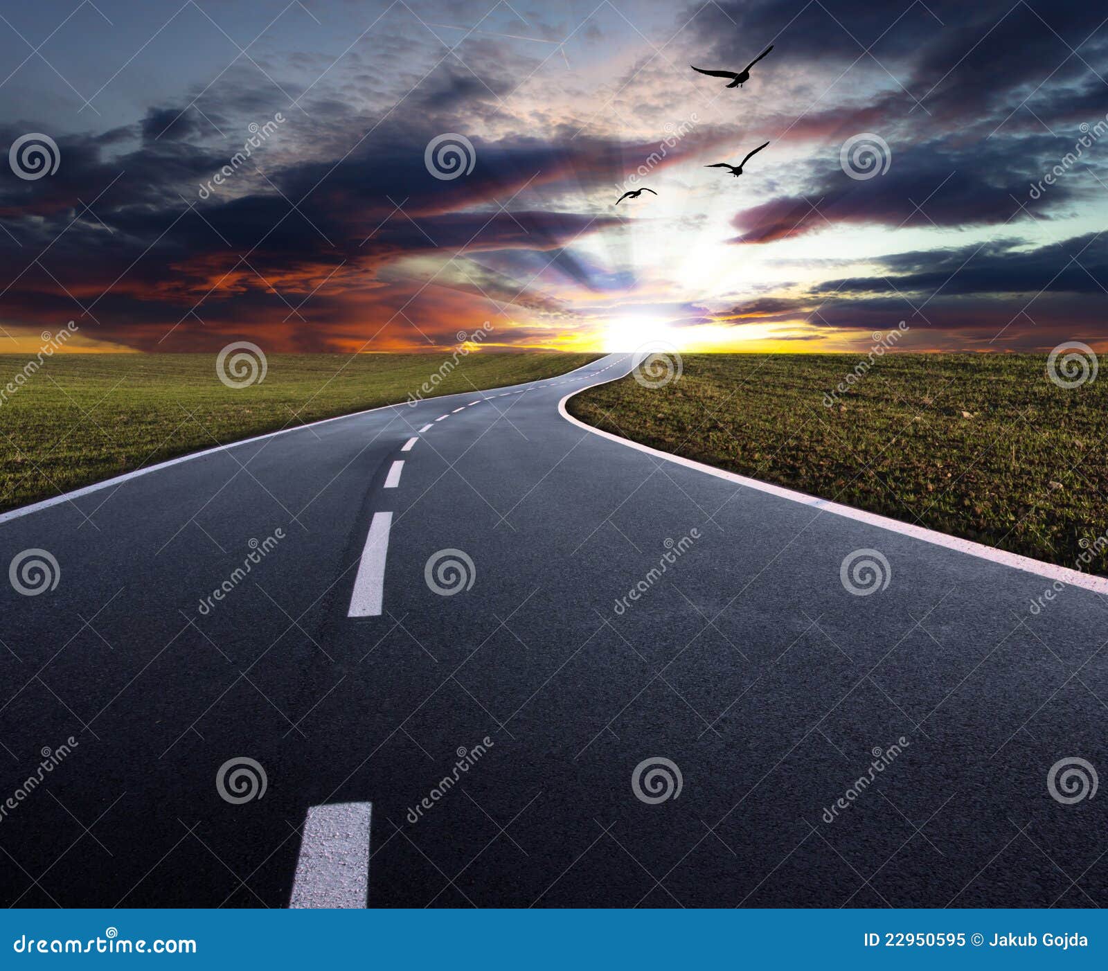 Evening road stock image. Image of green, highway, abstract - 22950595