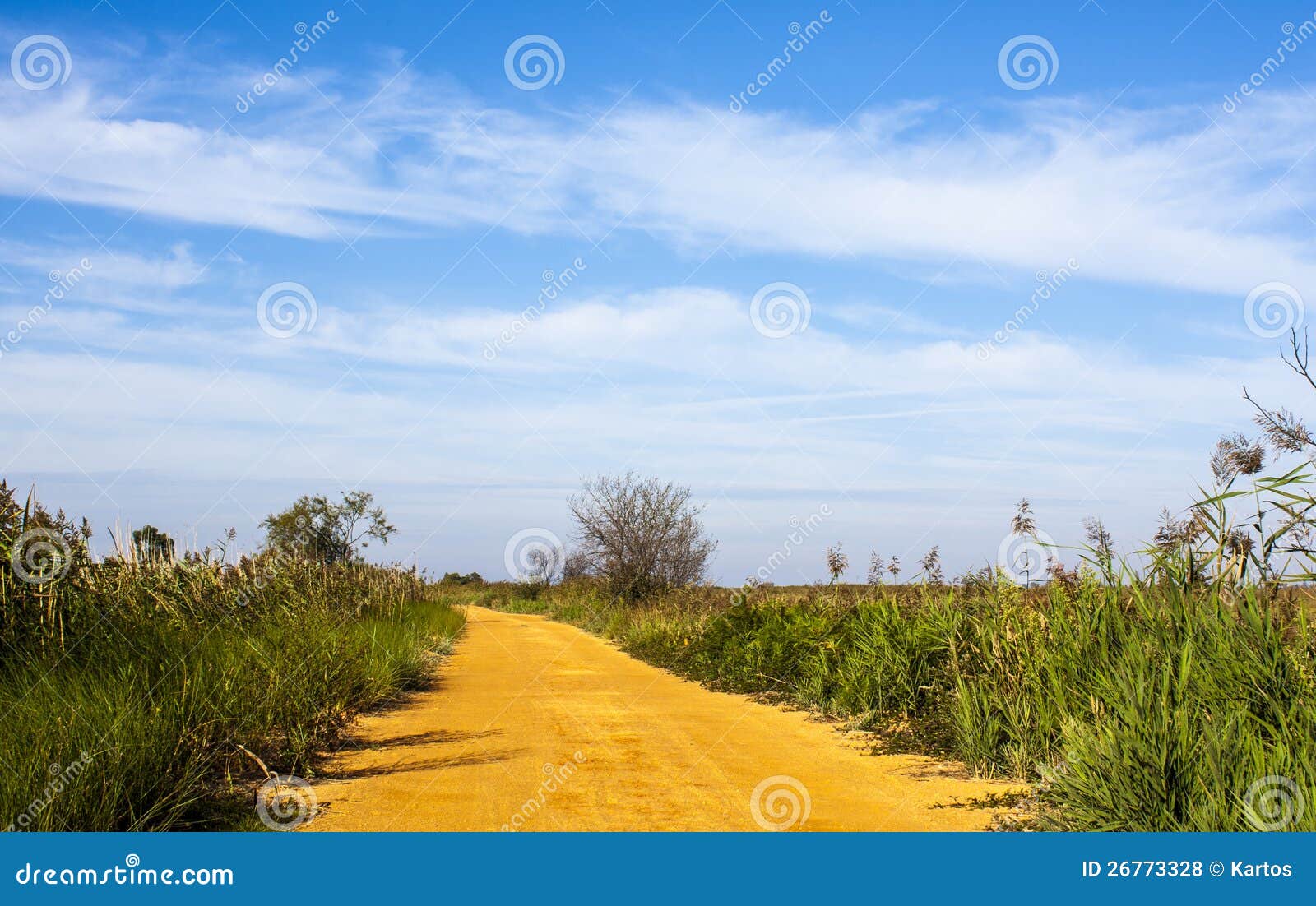 Evening road stock photo. Image of landscape, green, lane - 26773328