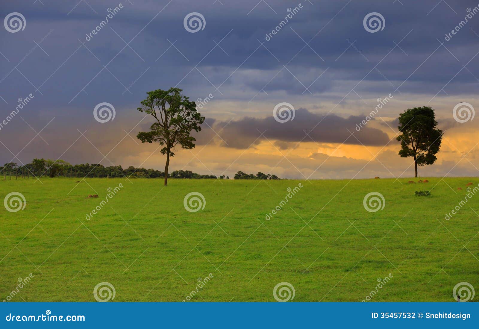 Evening in the Rural Brazil Stock Photo - Image of fields, evening ...