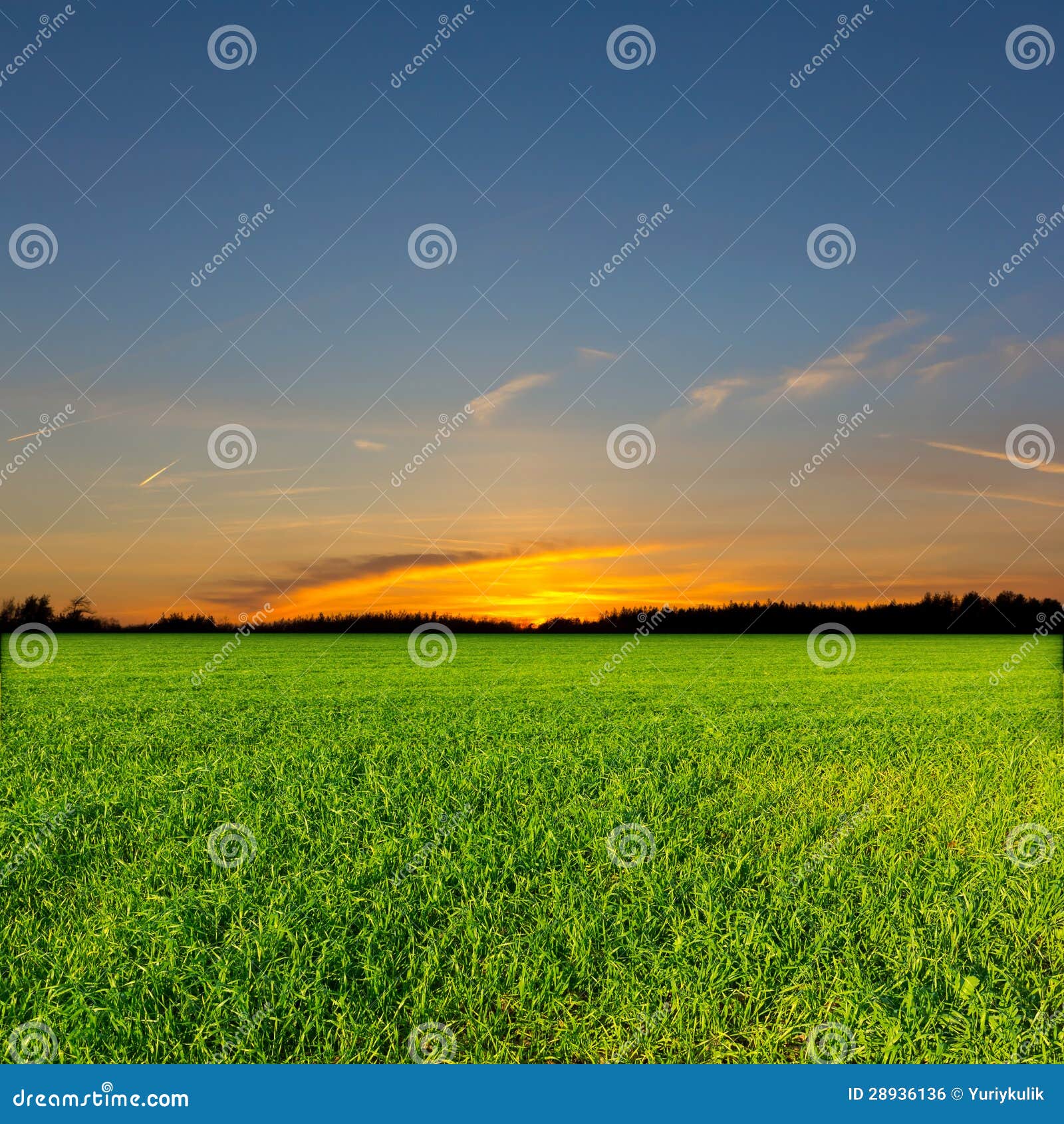 Evening rural scene stock photo. Image of evening, beautiful - 28936136
