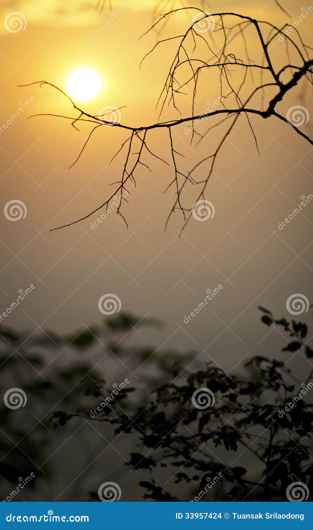 Evening scene stock photo. Image of reflection, bright - 33957424