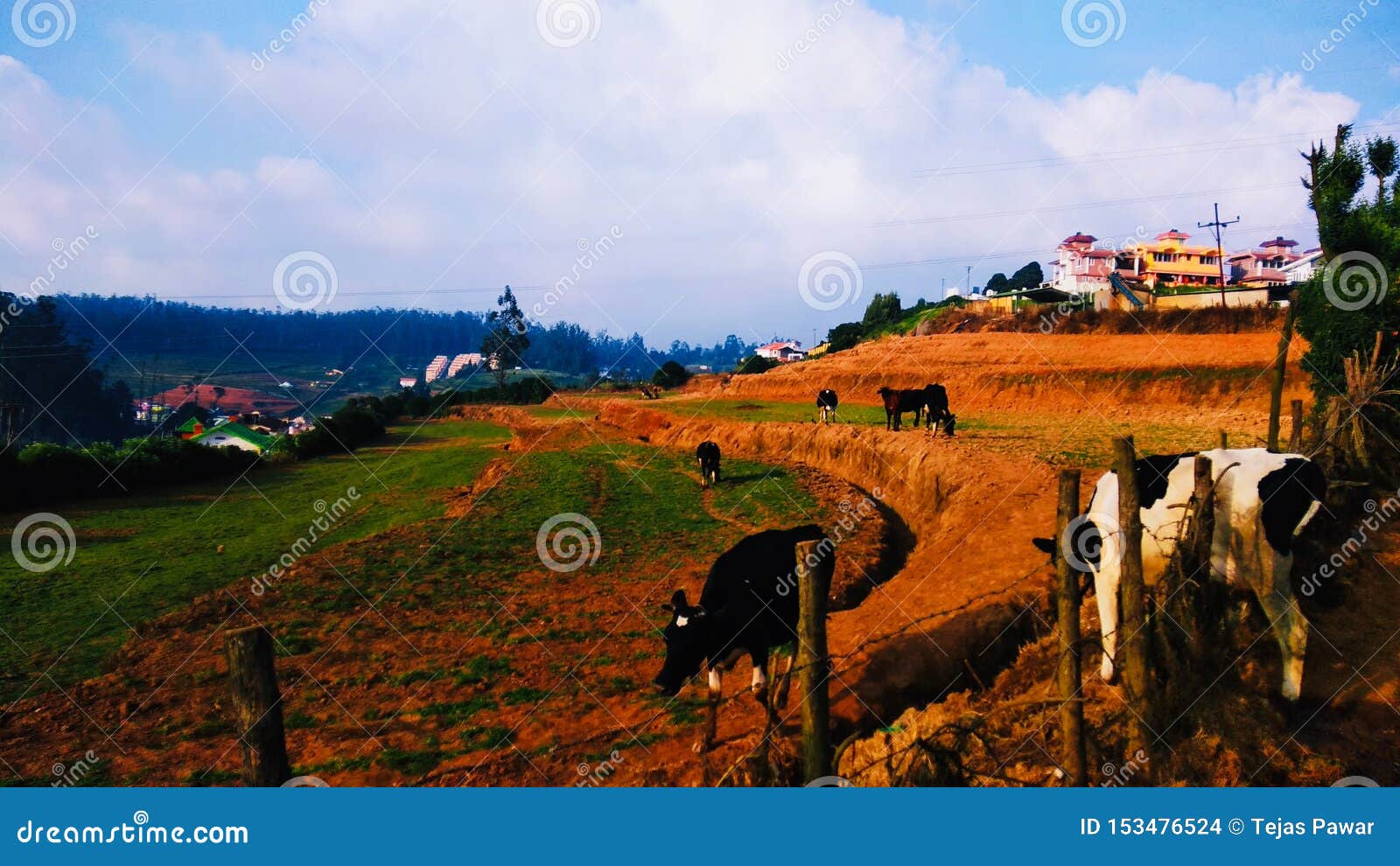 Evening scene stock photo. Image of scenes, abstract - 153476524