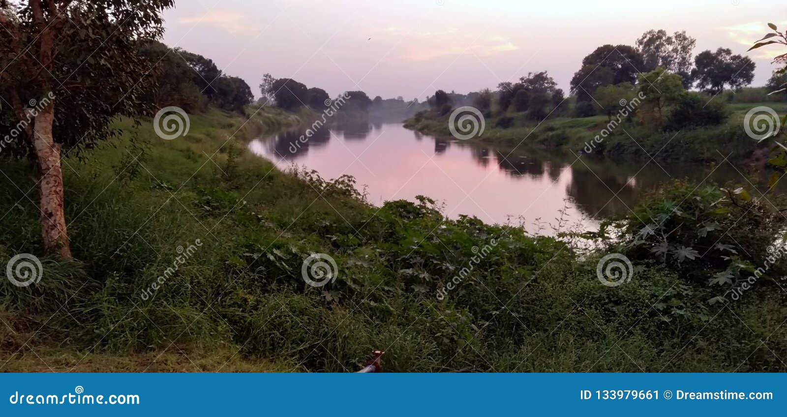 Evening scenery stock image. Image of silence, trees - 133979661