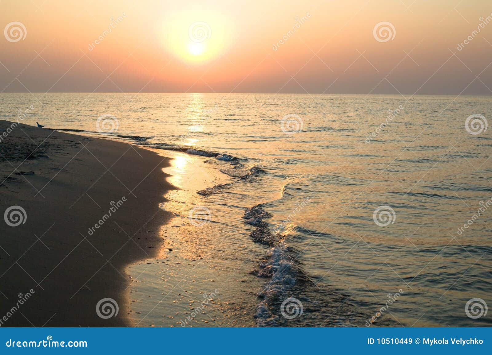 Evening sea stock image. Image of evening, misty, pink - 10510449