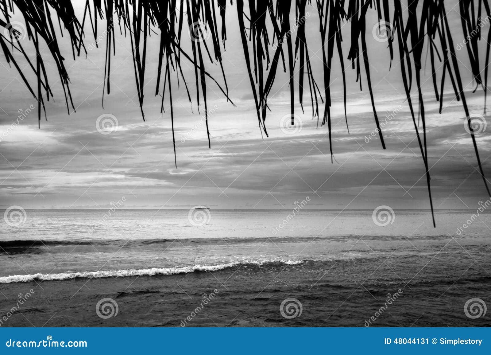 Evening sea sight stock image. Image of wave, relax, seasight - 48044131