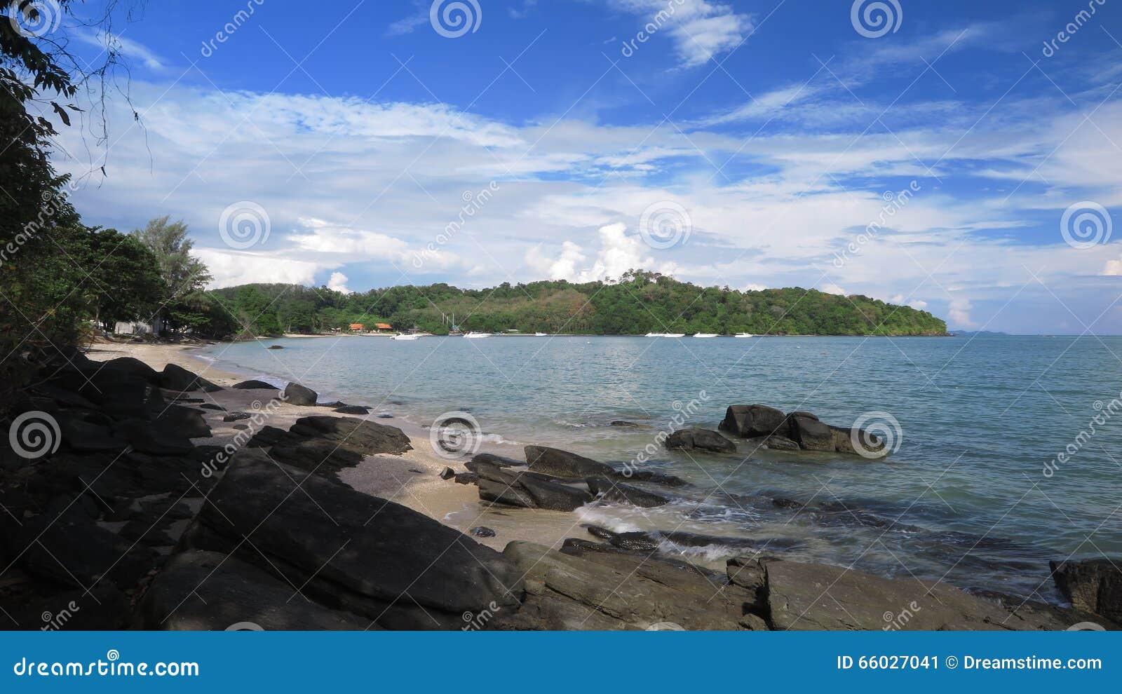 Evening on sea stock image. Image of coast, tree, evening - 66027041