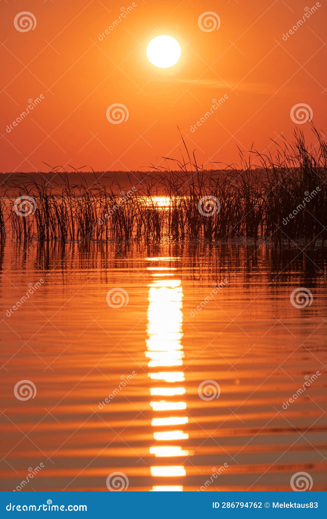 Evening Setting Sun on Orange Sky and Lake Stock Photo - Image of ...