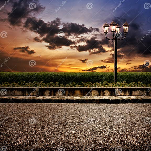Evening sidewalk stock image. Image of ligth, plant, asphalt - 65308615