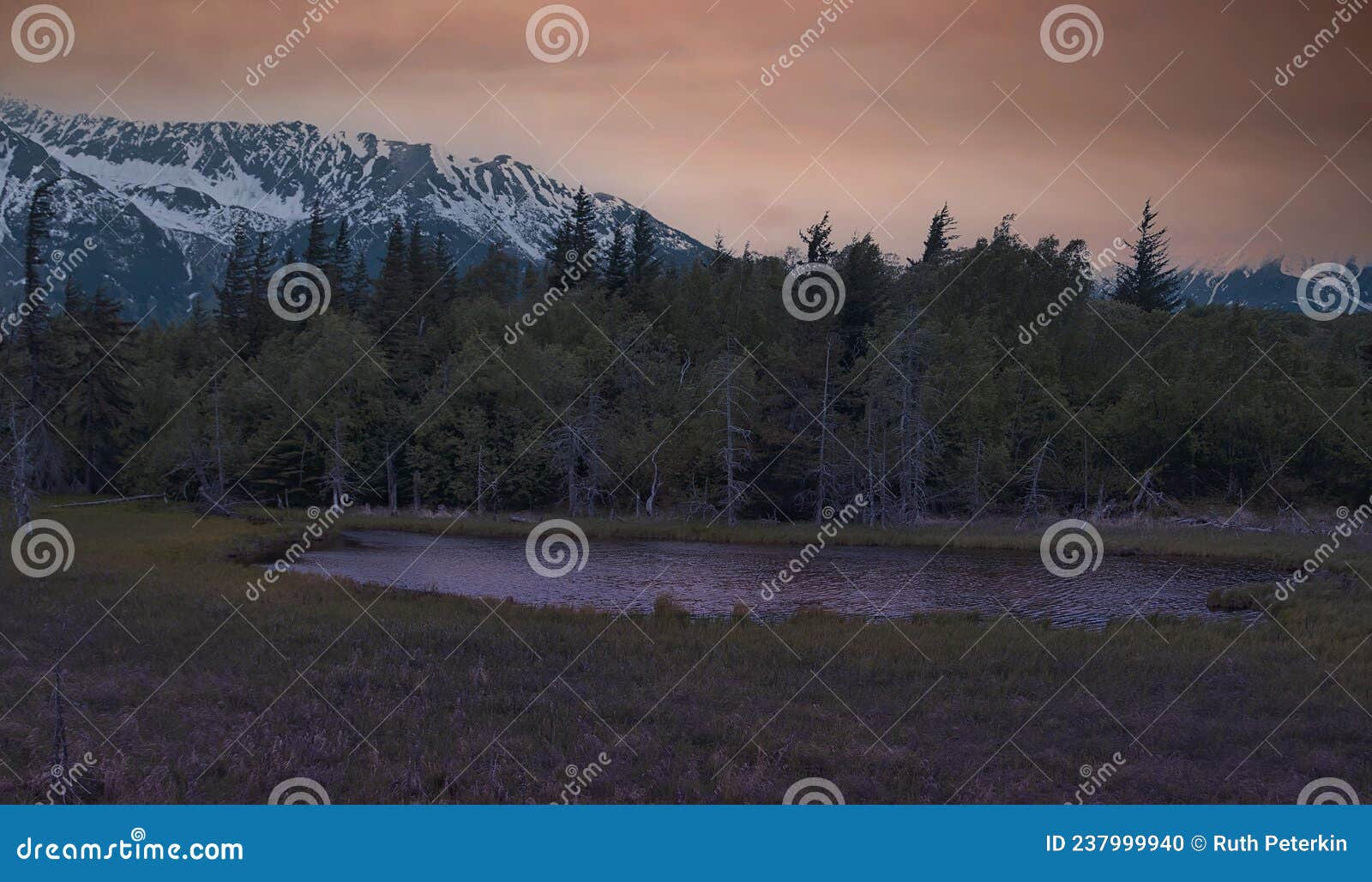 Evening Sky in Alaska stock photo. Image of alaksa, northern - 237999940
