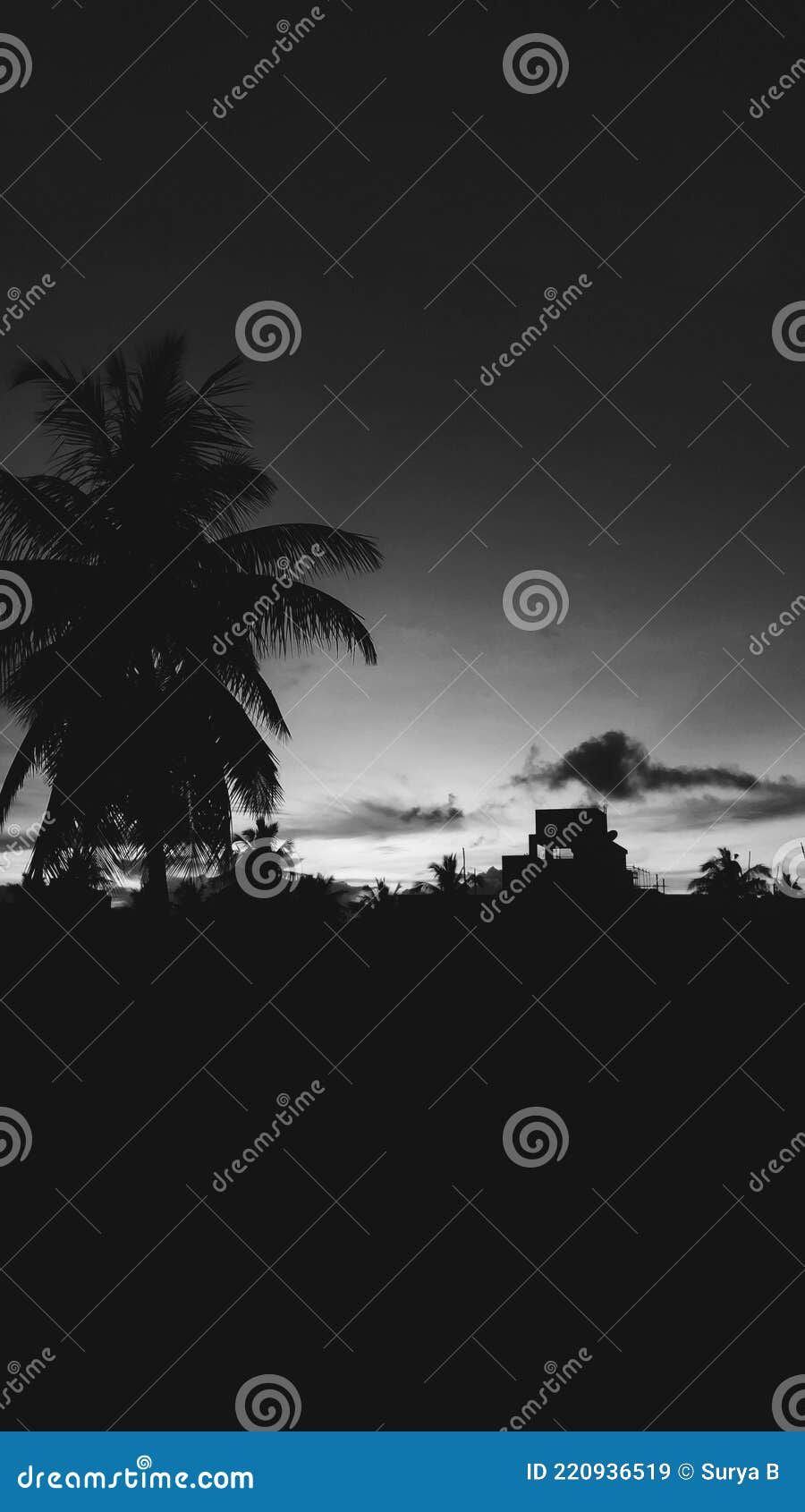 Evening Sky Background in Black and White, Perfect Texture. Stock Image ...