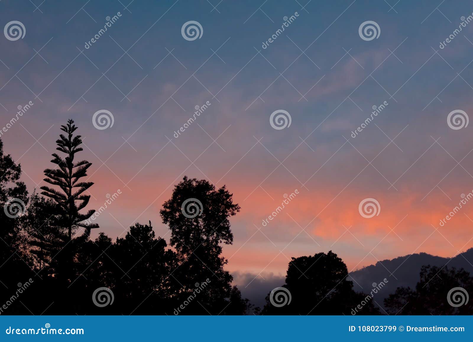 Evening Sky with Dark Tree Line Stock Image - Image of iron, antique ...