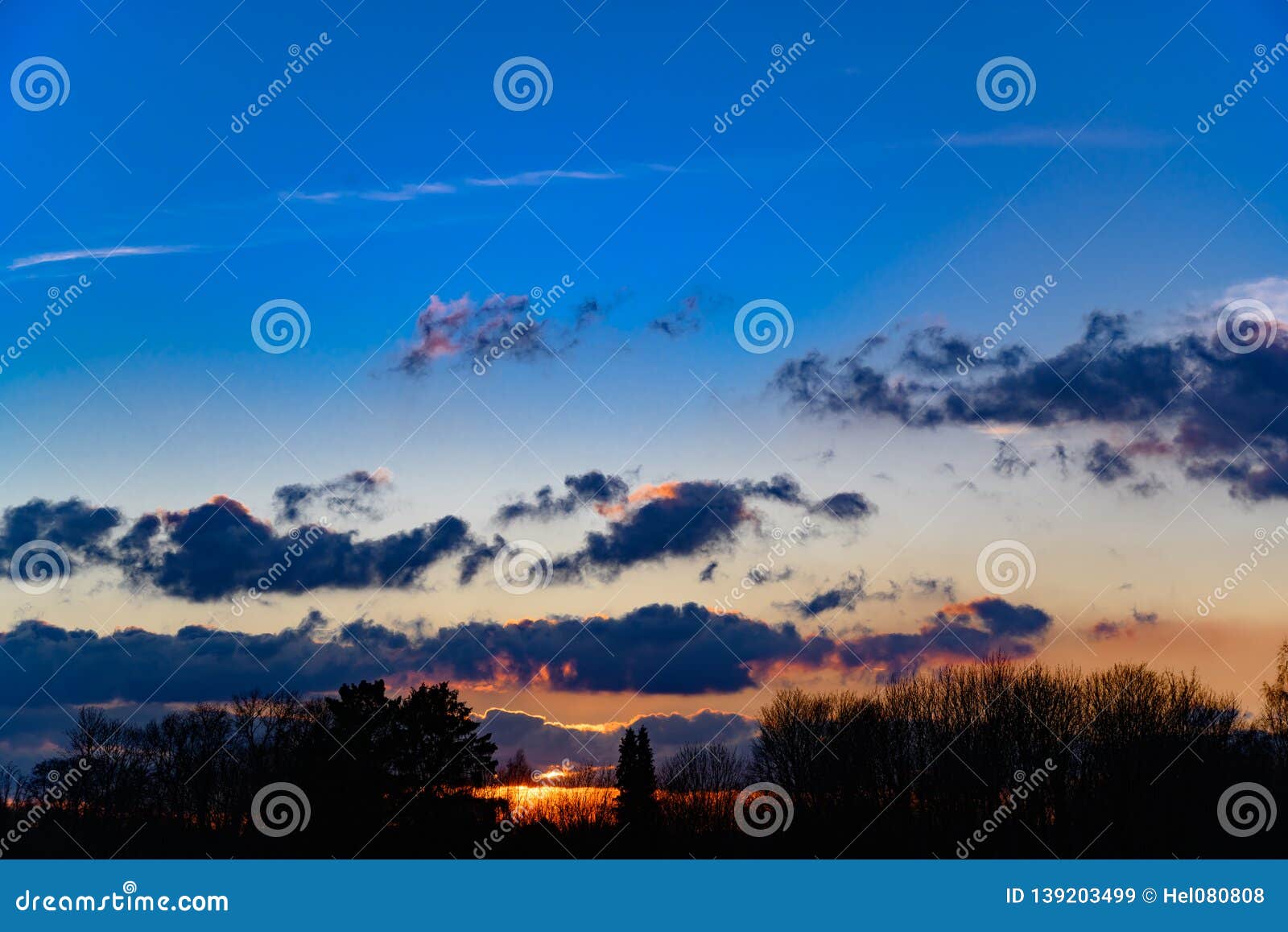 Evening Sky with Deep Sitting Sunset Over Bare Trees, Wide Angle Sky ...