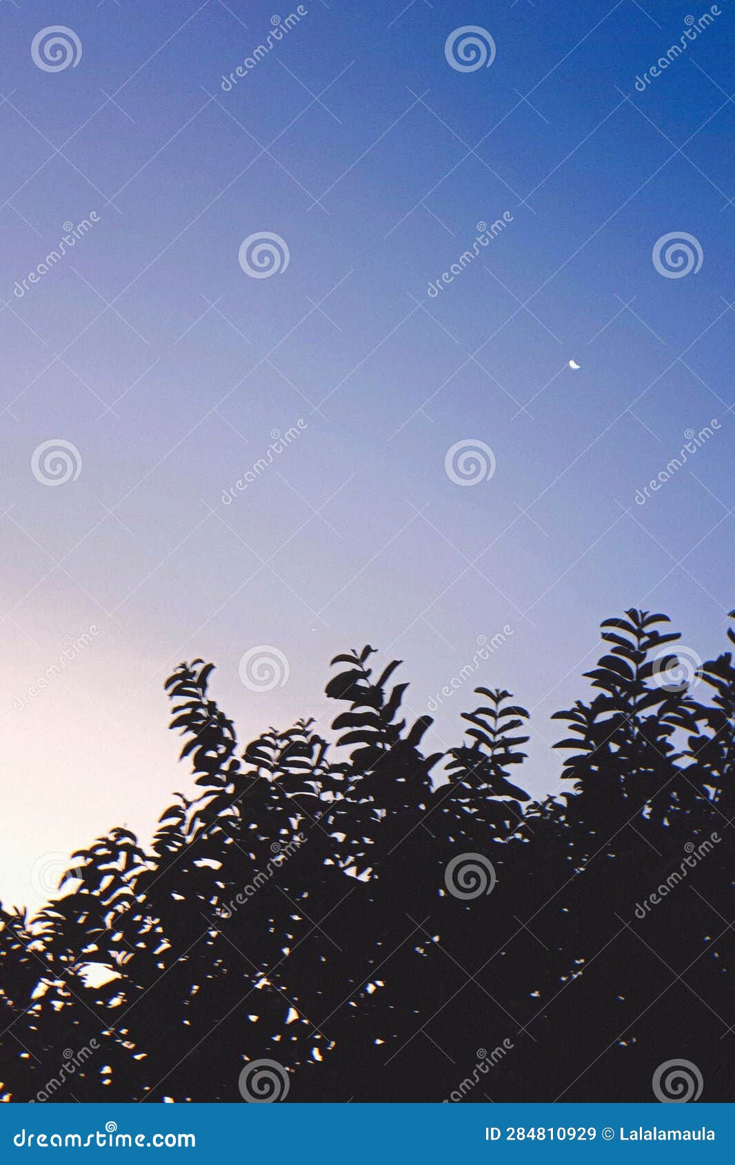 Evening sky before night stock image. Image of night - 284810929