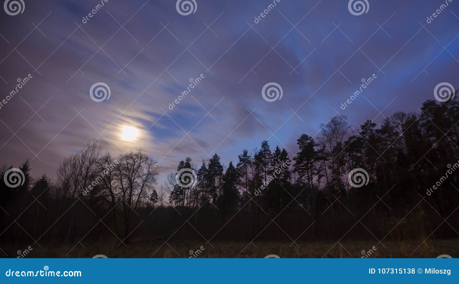 Evening sky over forest stock photo. Image of countryside - 107315138