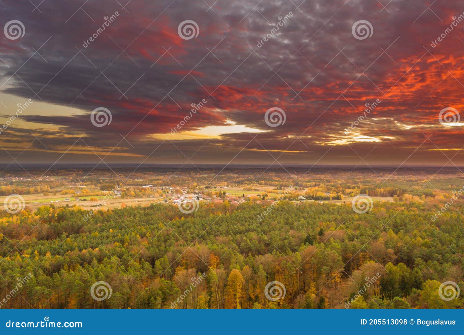 The Evening Sky Over the Vast Forest Plain. Stock Photo - Image of ...
