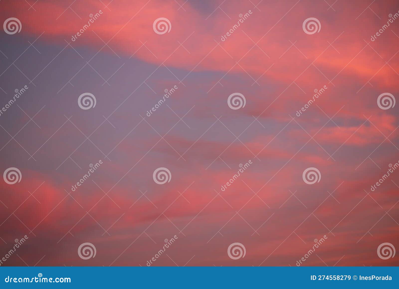 Evening Sky with Pink Clouds Illuminated by the Sun Stock Image - Image ...