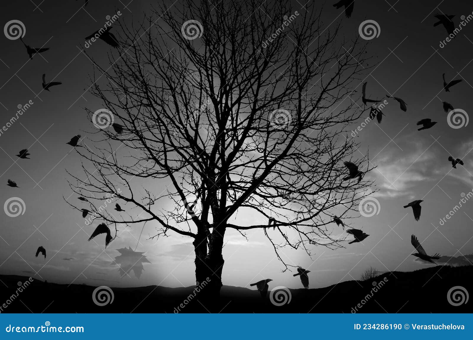 The Evening Sky And Tree And Birds Stock Photography | CartoonDealer ...