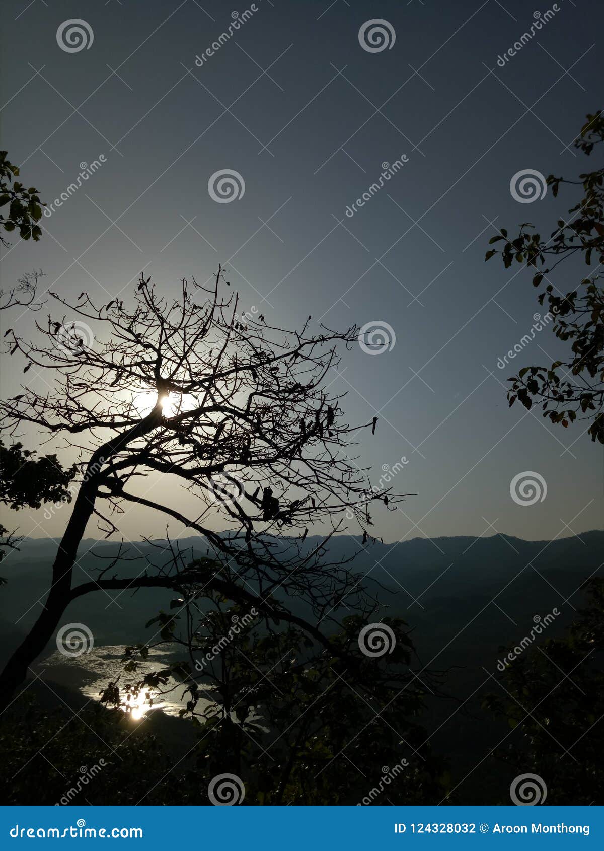 Evening sky stock photo. Image of tree, forest, evening - 124328032