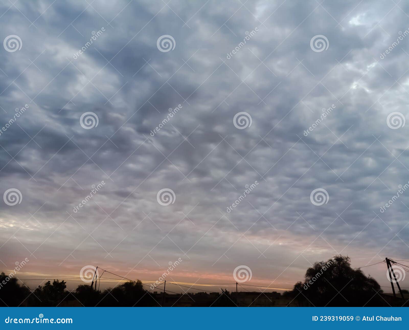Evening Sky with Trees Background Stock Image - Image of clouds ...
