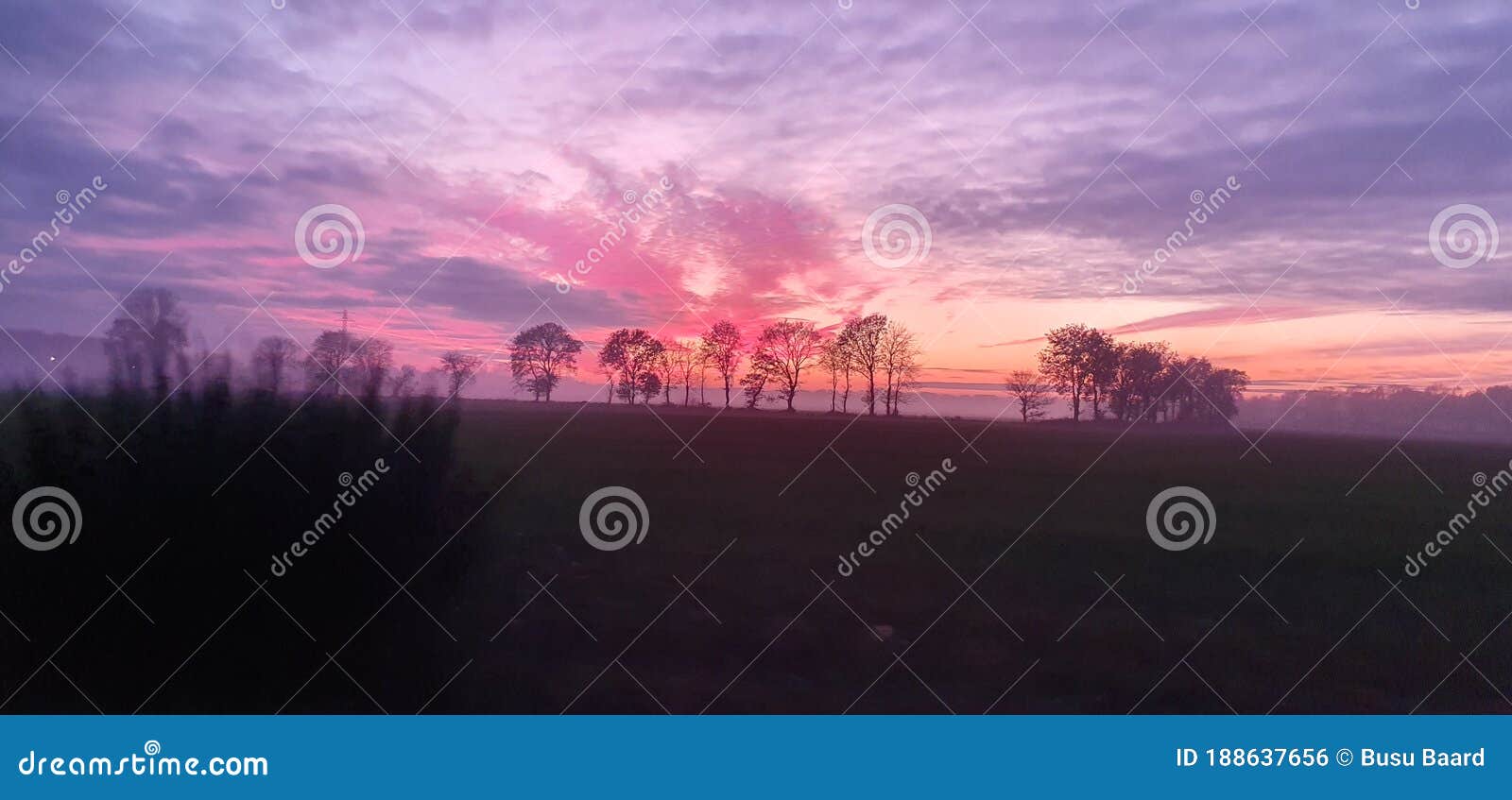 Evening Sky Warm Tree for View Stock Photo - Image of warm, evening ...