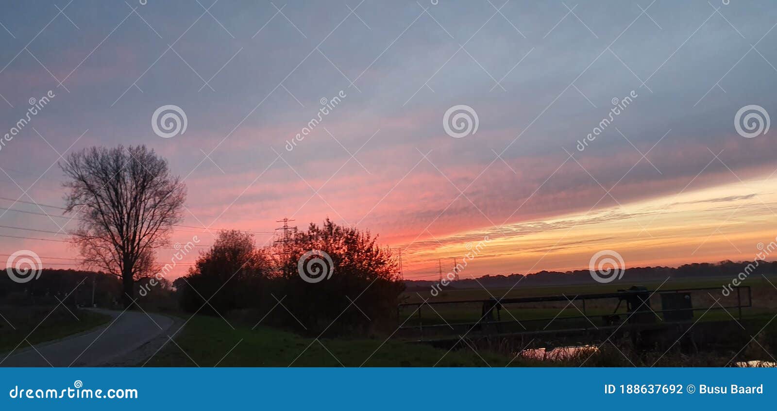 Evening Sky Warm Tree for View Stock Photo - Image of tree, view: 188637692