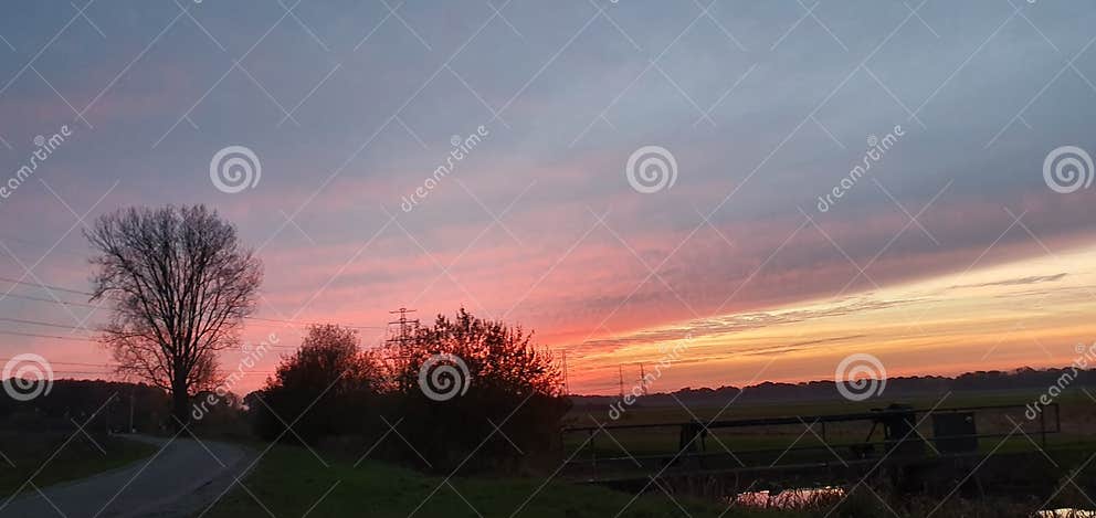 Evening Sky Warm Tree for View Stock Photo - Image of tree, view: 188637692