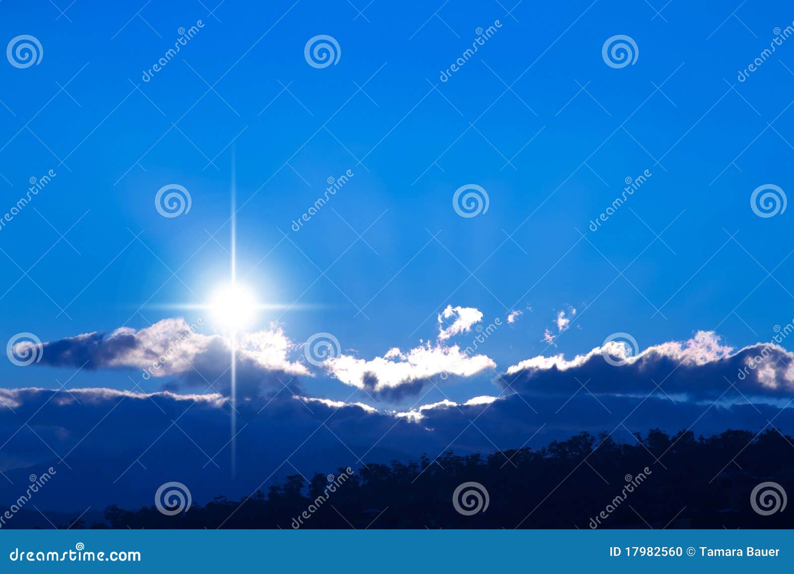 Evening star stock photo. Image of sunset, trees, blue - 17982560