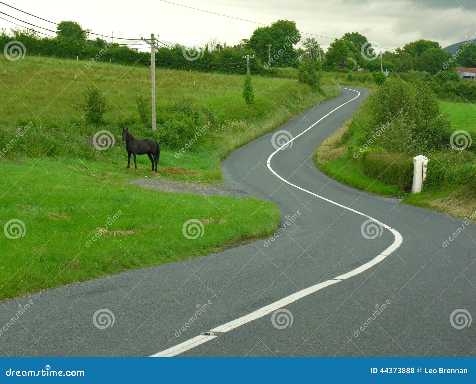 An evening stroll stock photo. Image of country, stone - 44373888