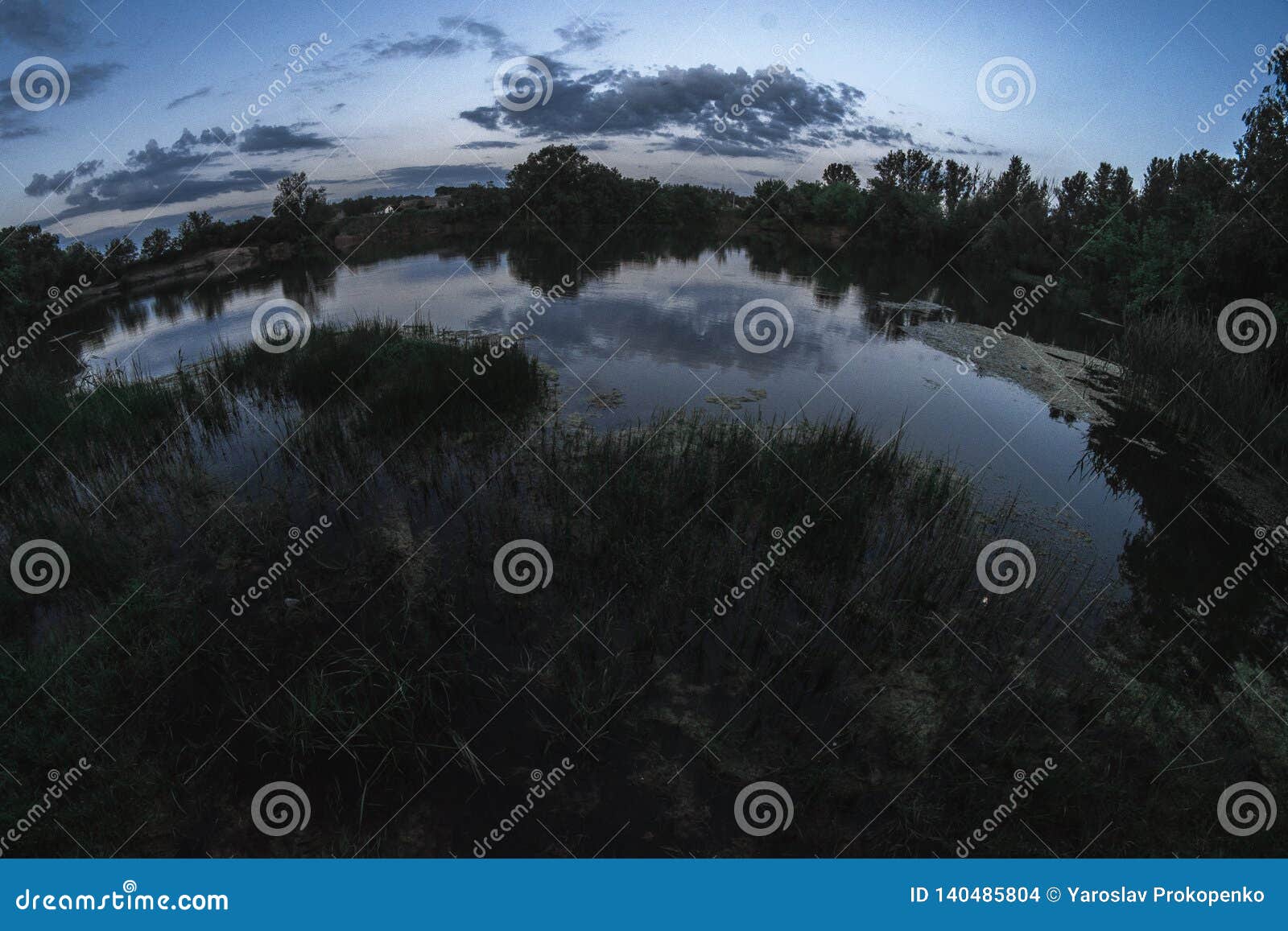 Evening Summer Landscape on the Pond Stock Photo - Image of environment ...