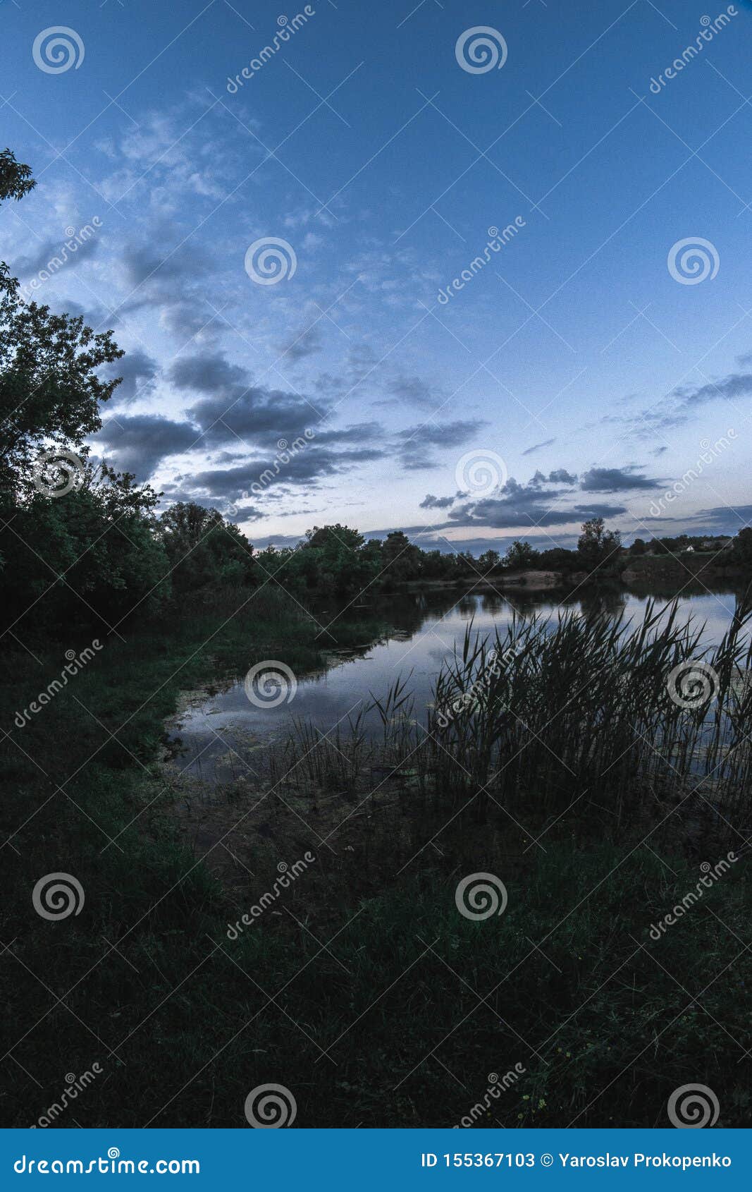 Evening Summer Landscape on the Pond Stock Image - Image of izmailovo ...