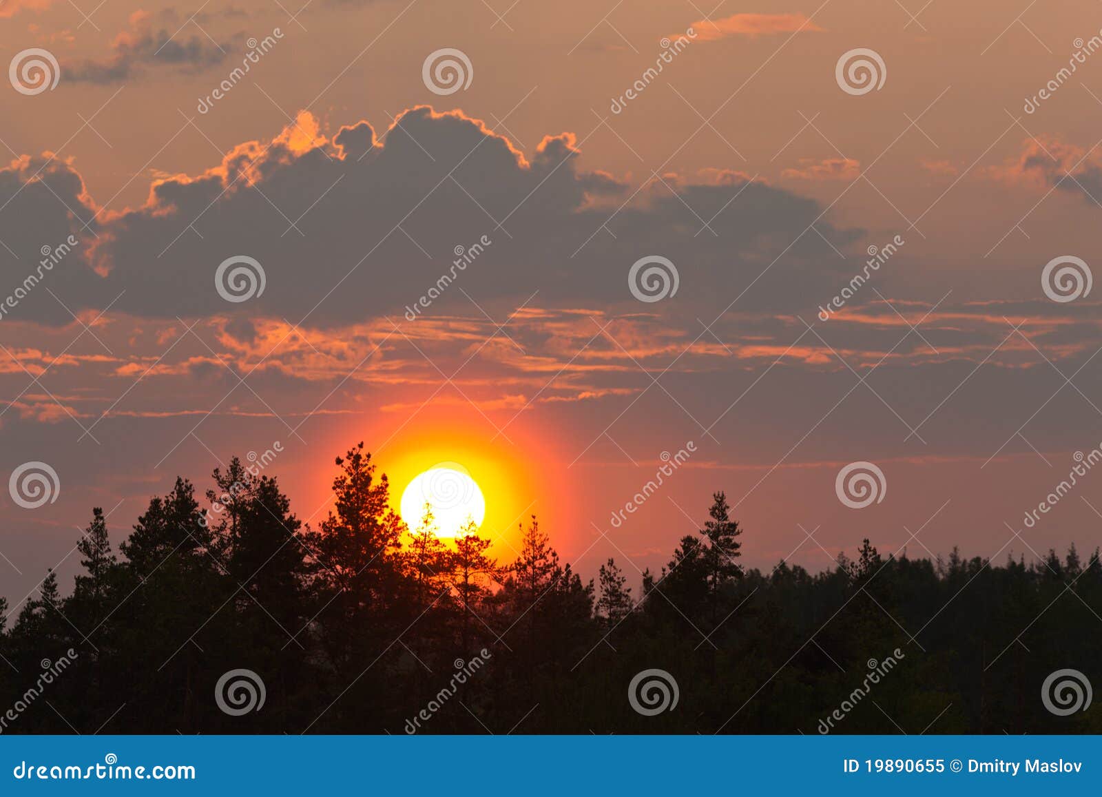 The evening sun stock image. Image of black, evening - 19890655