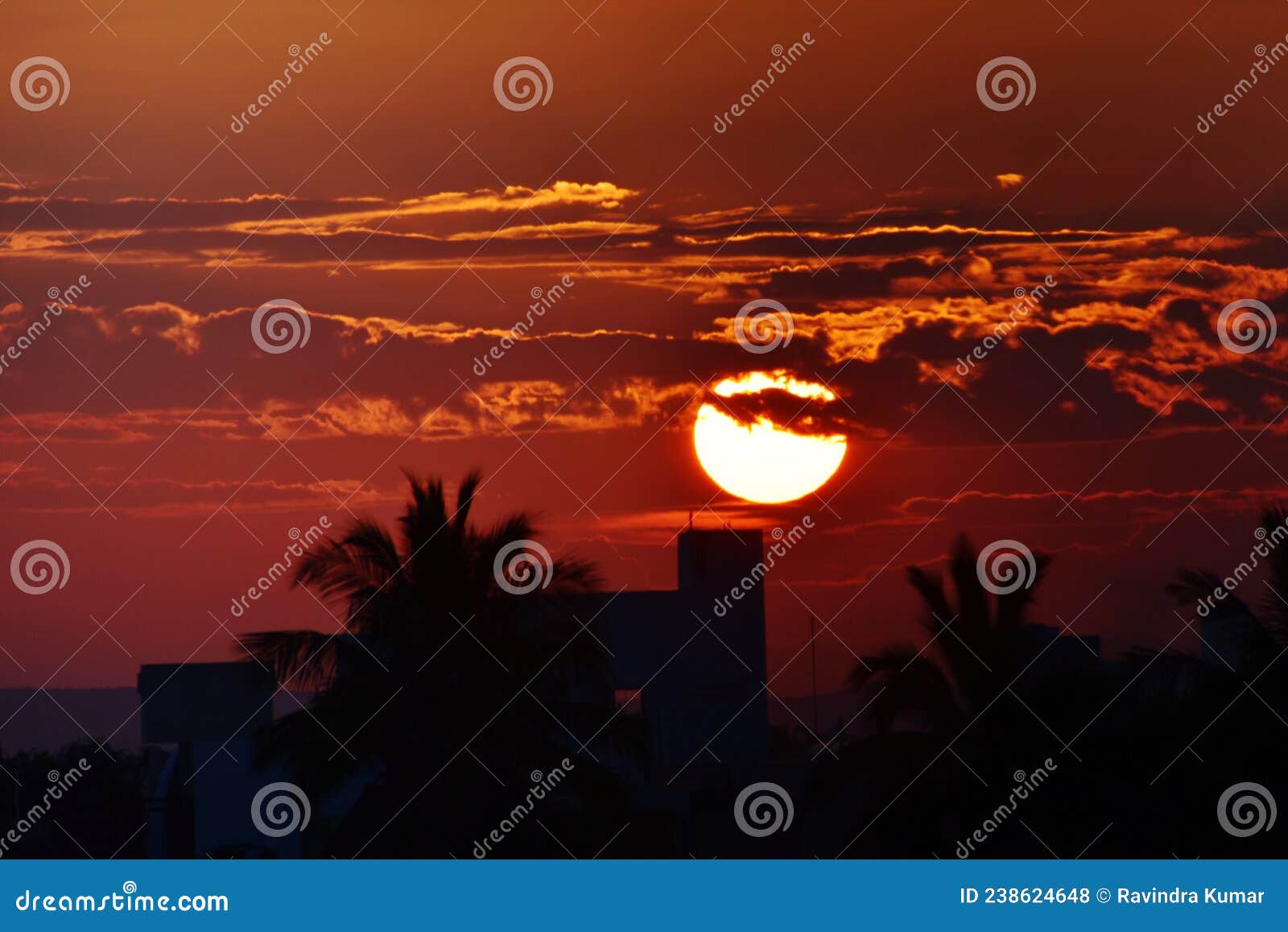 The Evening SunÂ cast Long Shadows on the Ground.Â Stock Photo - Image ...