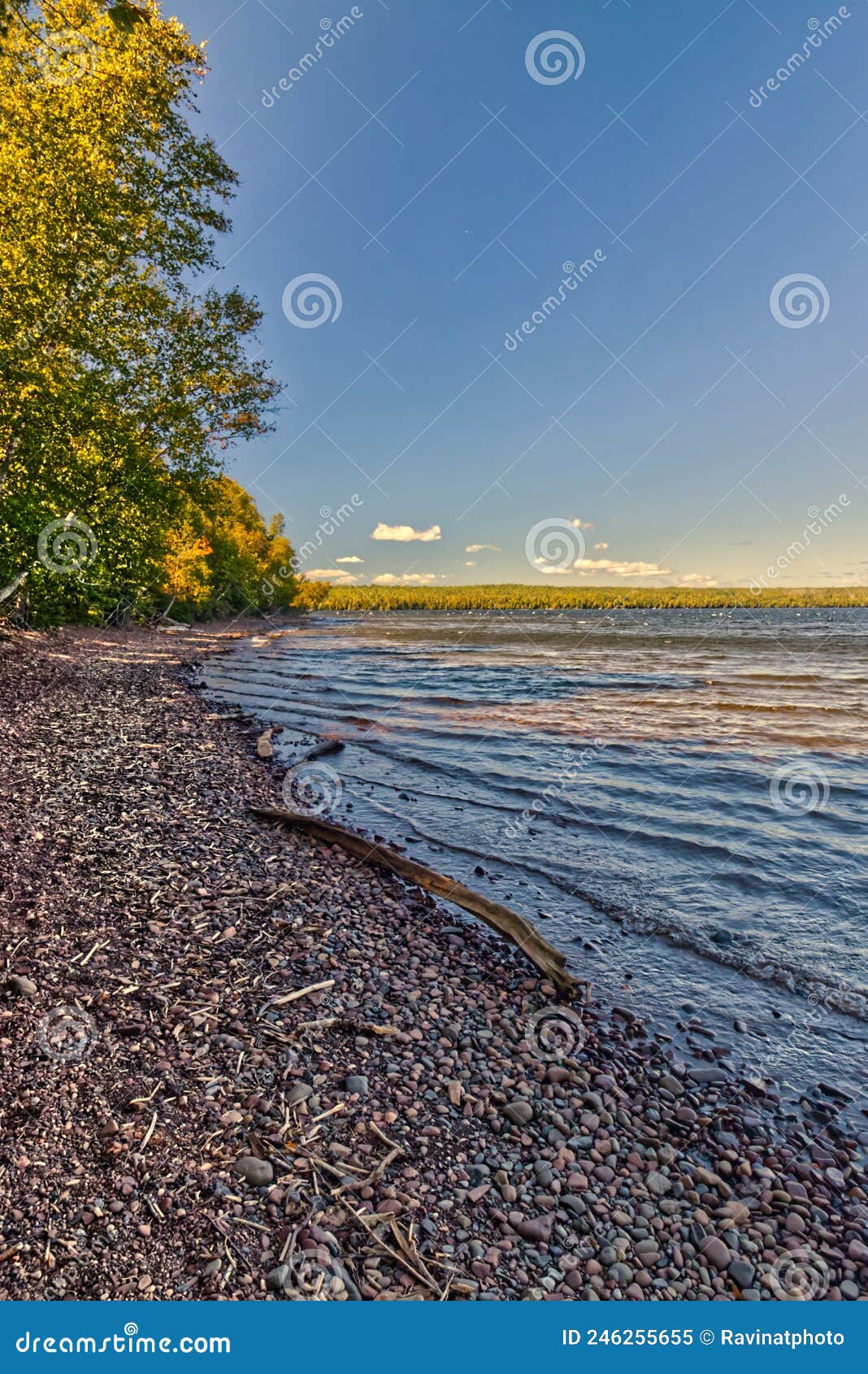 Evening Sun Hitting the Trees - SG PP, Thunder Bay, Ontario, Canada ...