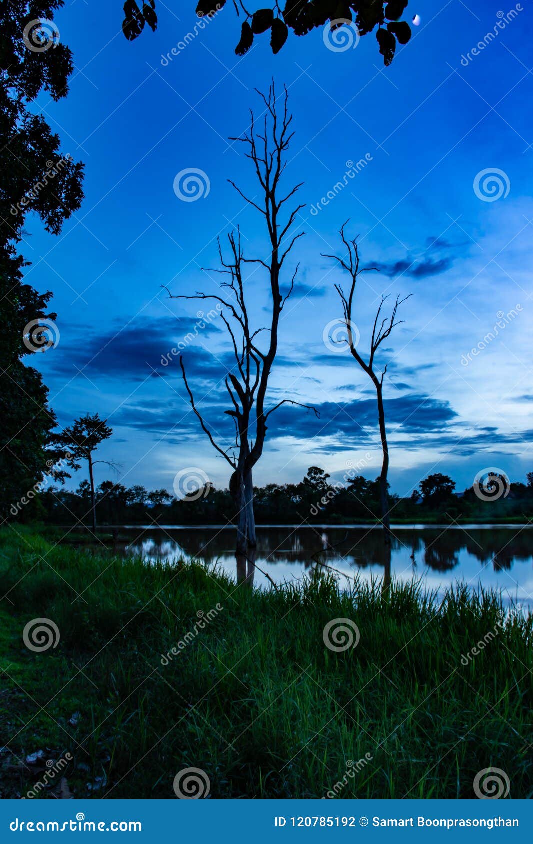 The Evening Sun Light Reflection in Pond Stock Photo - Image of calm ...