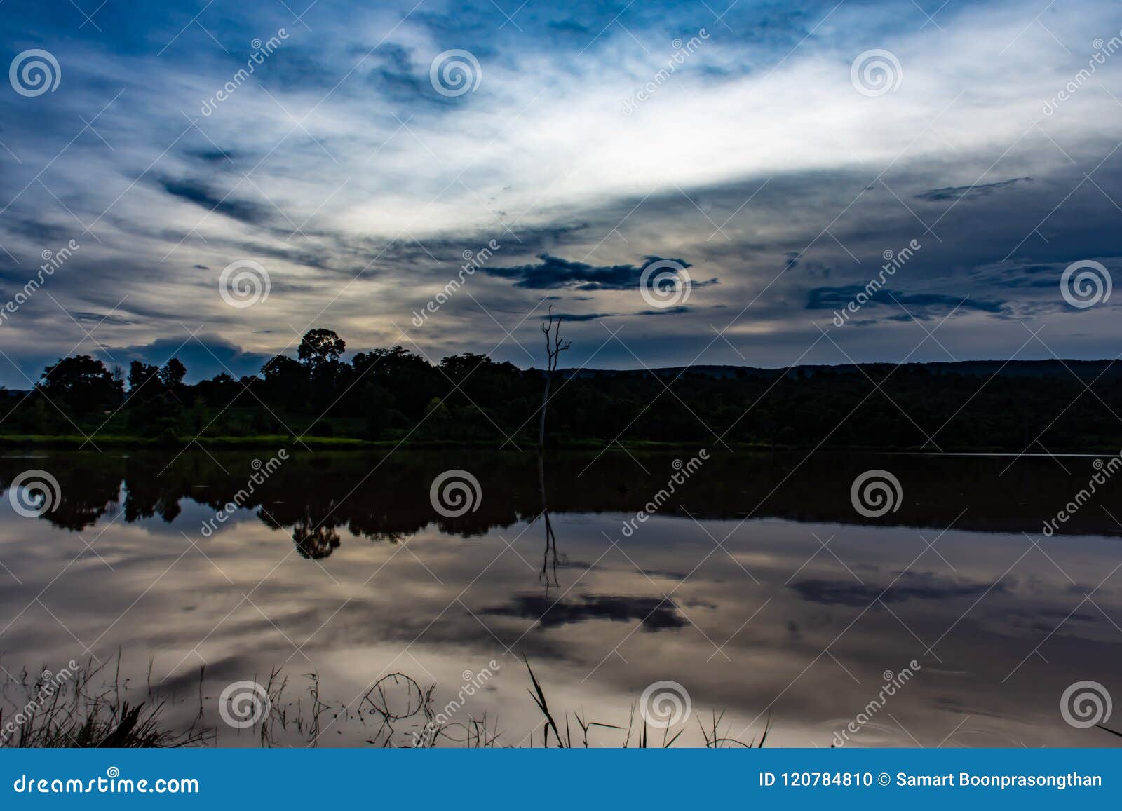 The Evening Sun Light Reflection in Pond Stock Photo - Image of ...