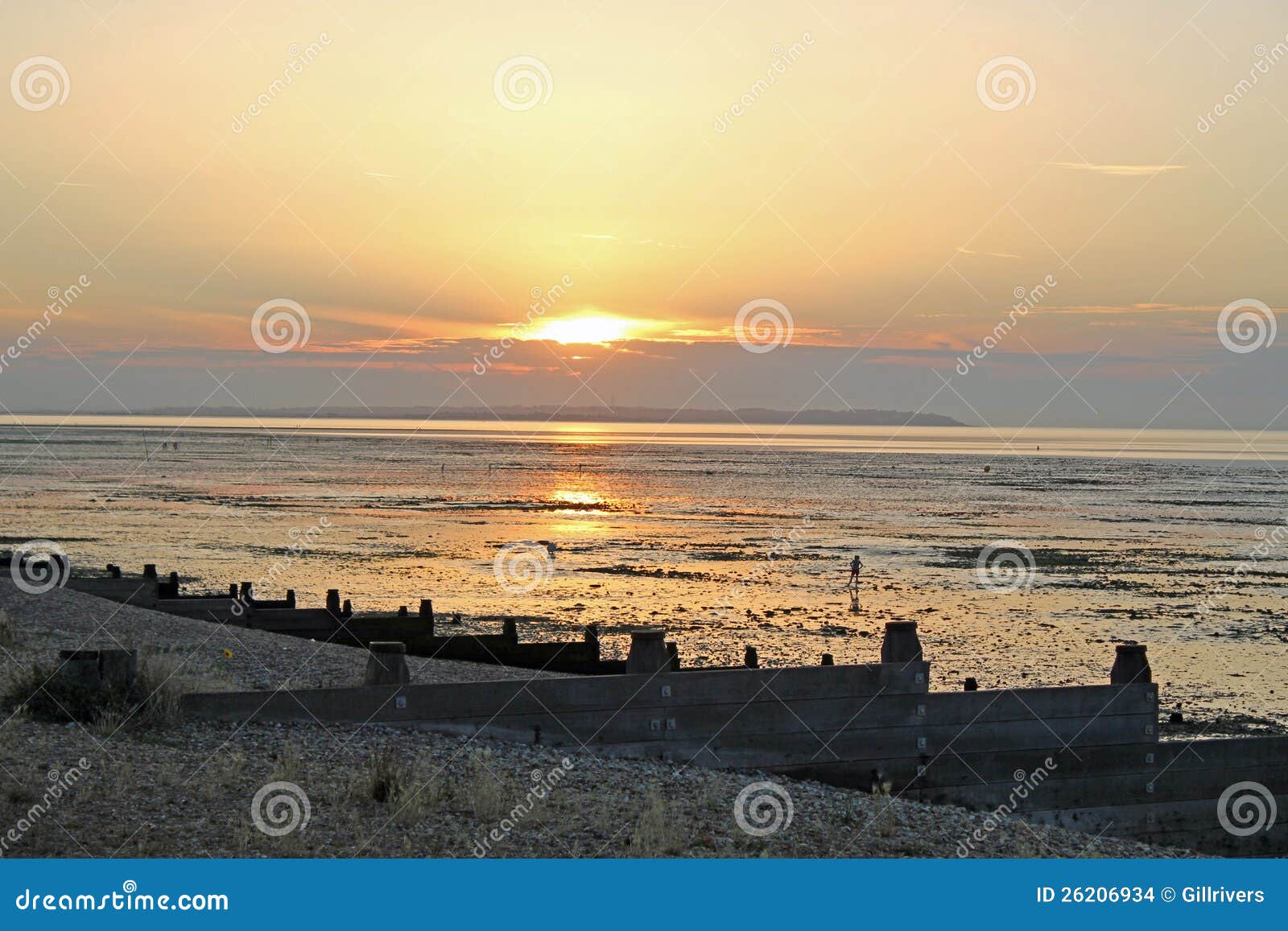 Evening Sun on the Mud Flats Stock Photo - Image of reflection ...