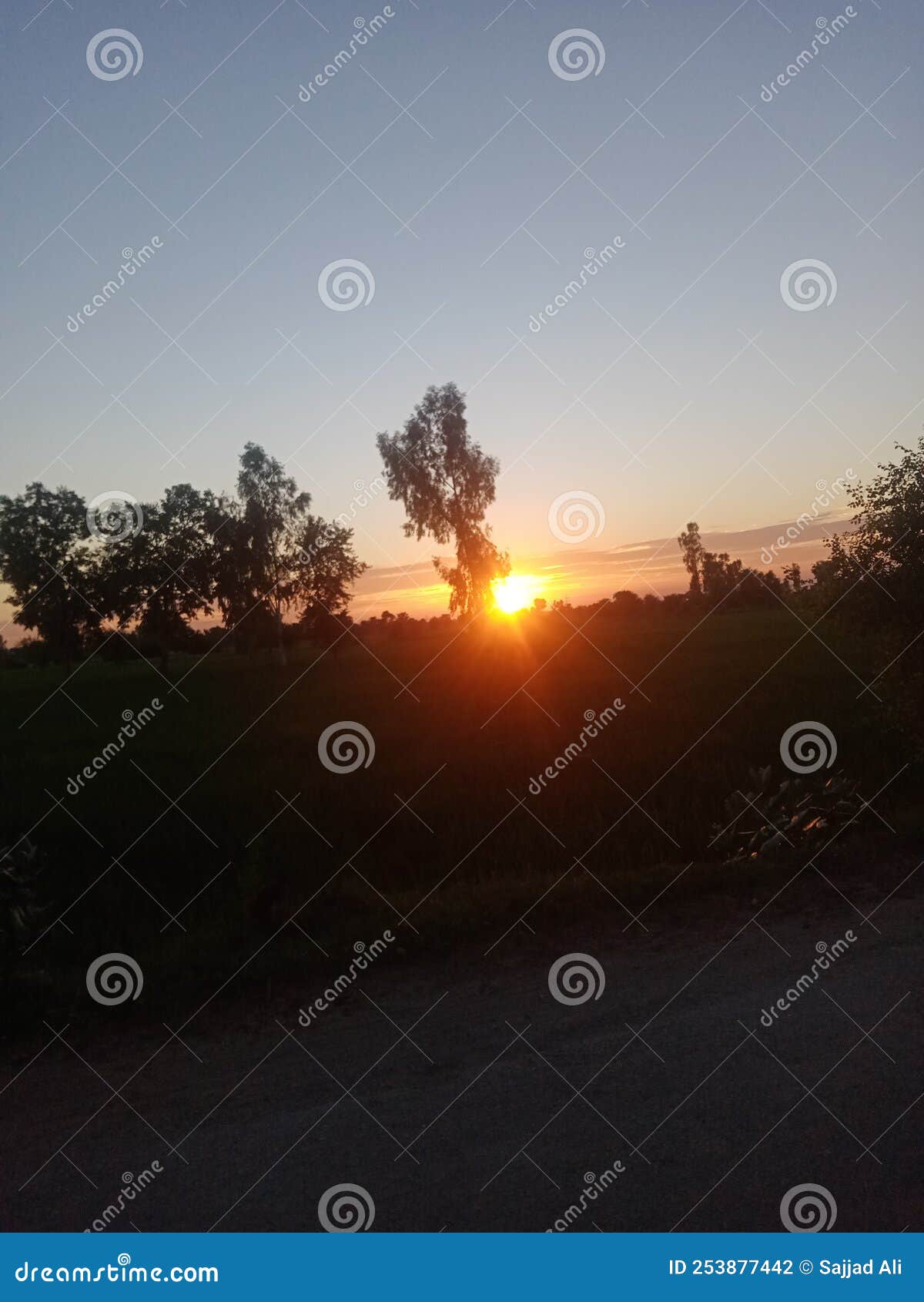 Evening Sun Panjab Pakistan Stock Photo - Image of evening, sunlight ...