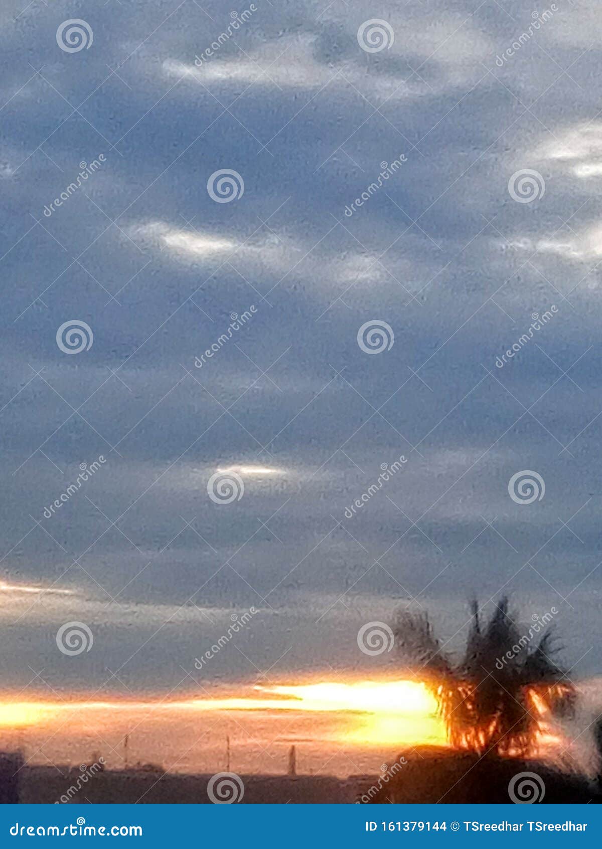 Evening Sun Ray with Sky - Tree, Cloud Stock Photo - Image of tree ...
