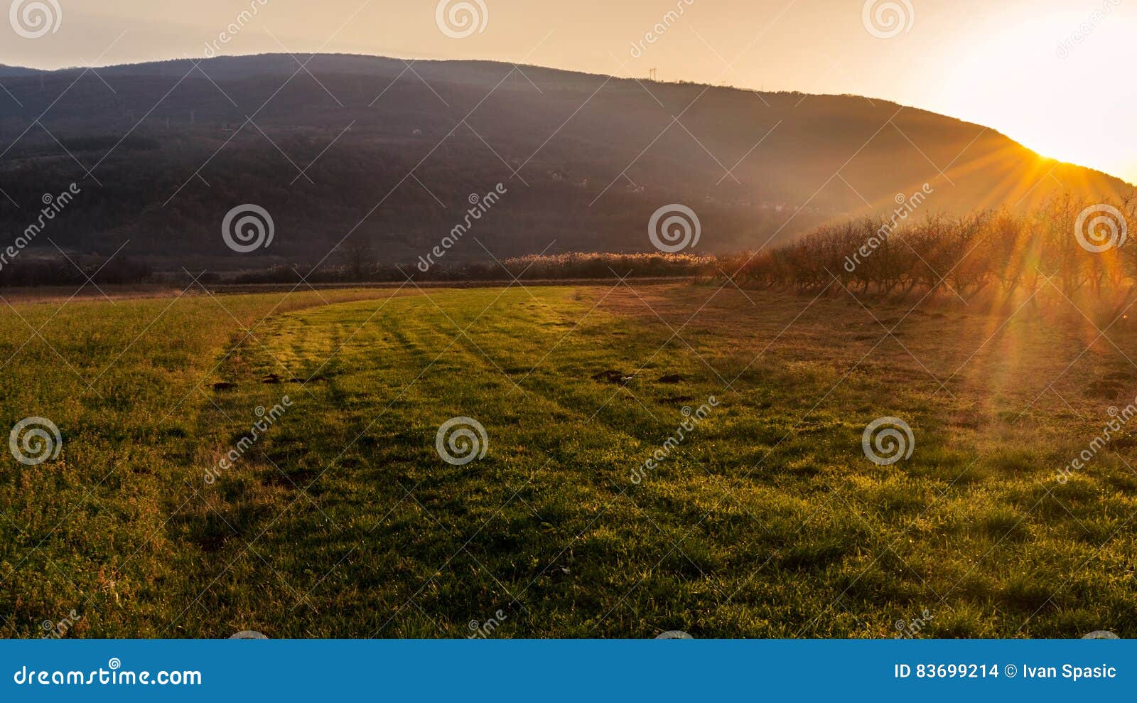 Evening Sun Rays on a Landscape Stock Photo - Image of evening, dusk ...