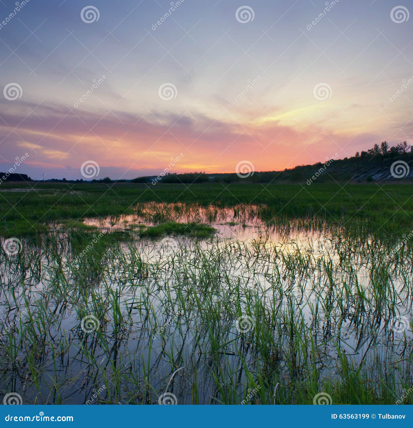 Evening stock image. Image of relax, outdoors, swamp - 63563199