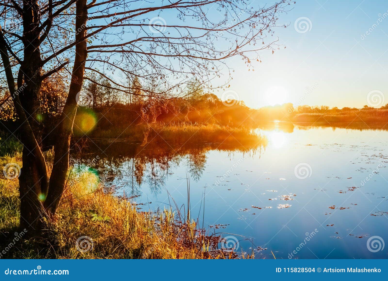 Evening at Sunset on a River with a Tree on the Shore Stock Photo ...