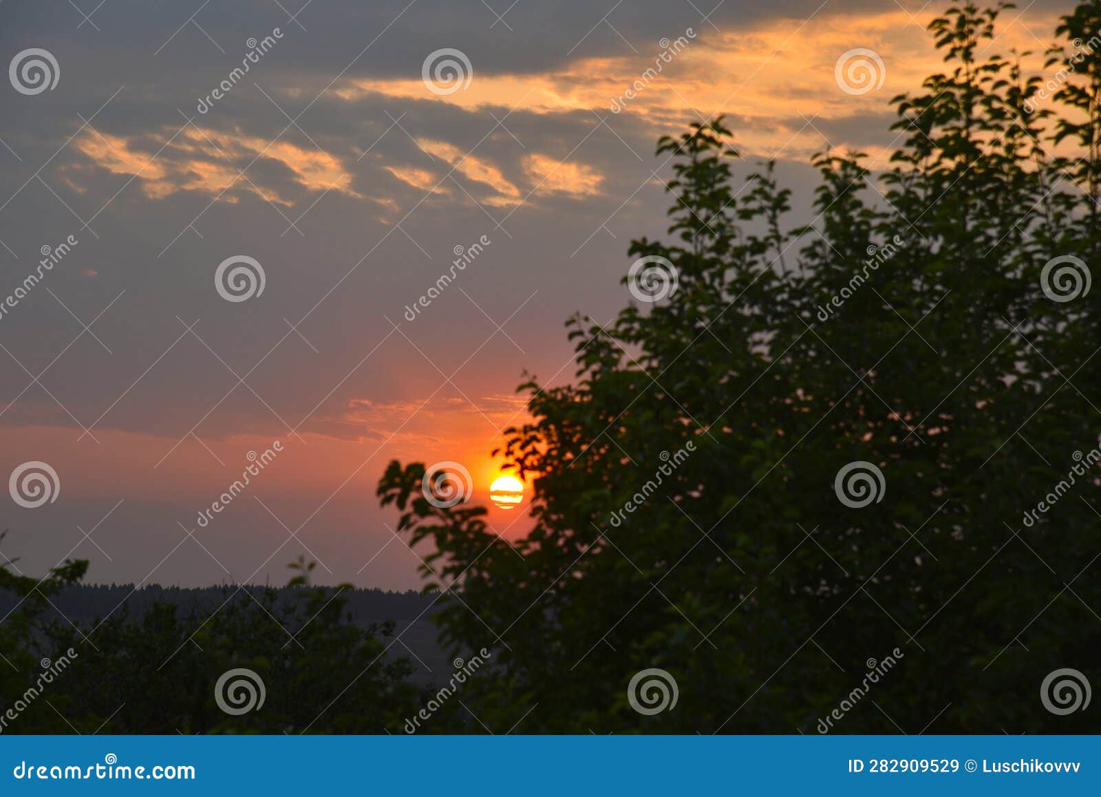 Evening Sunset Trees in the Garden. the Setting Sun and the Horizon ...