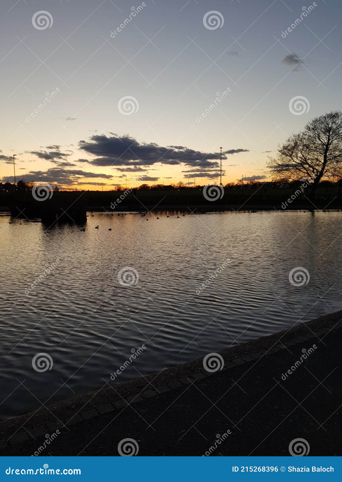 Evening sunset water stock photo. Image of sunlight - 215268396