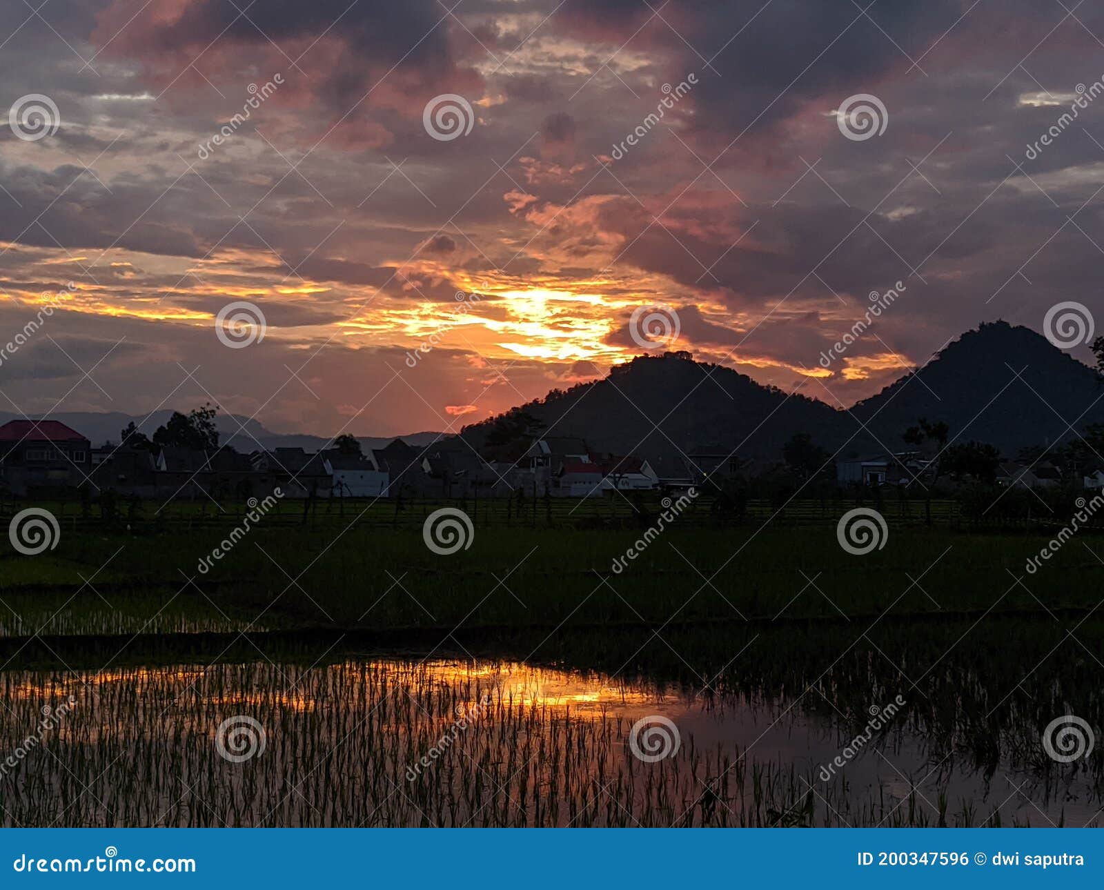 Sunsite Field Stock Photos - Free & Royalty-Free Stock Photos from ...