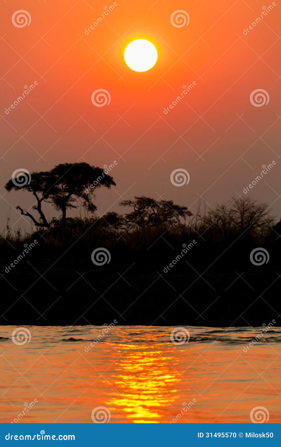 Evening Theme stock photo. Image of africa, botswana - 31495570