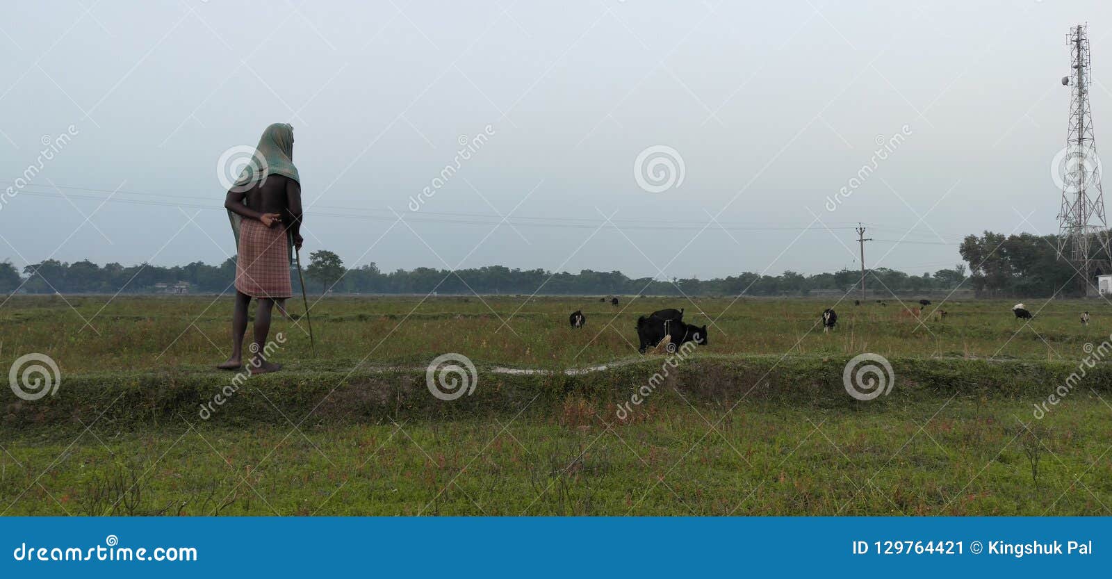 Goat keeper stock image. Image of keeper, evening, duty - 129764421