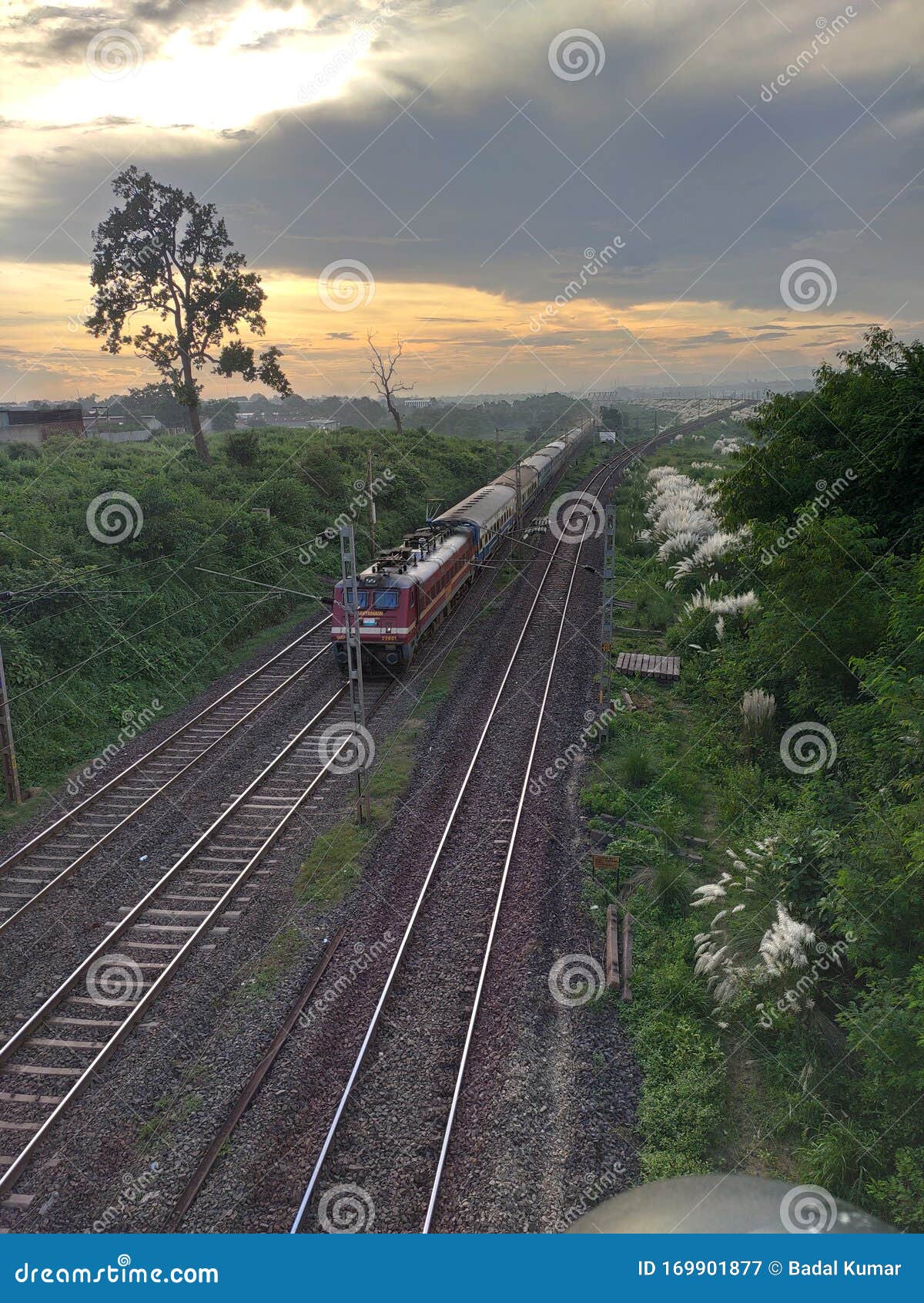 Evening Time is a Passing Train and There is a Tree in Both Its Sides ...