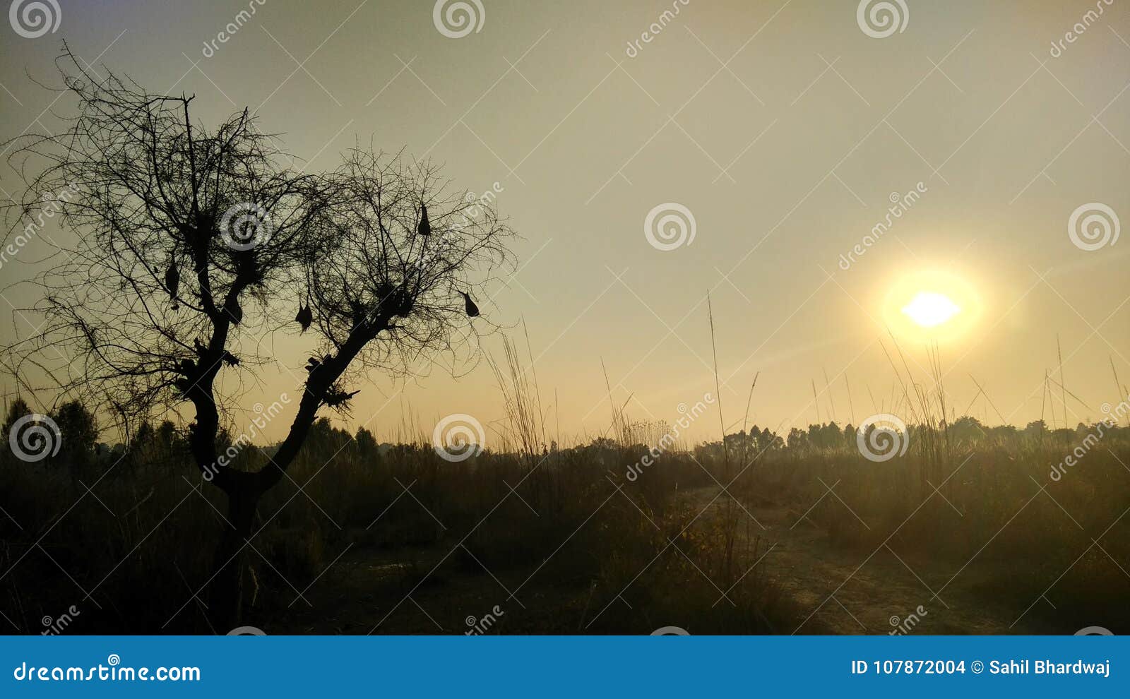 Evening Time Pictures with Sun Set. Stock Photo - Image of time ...