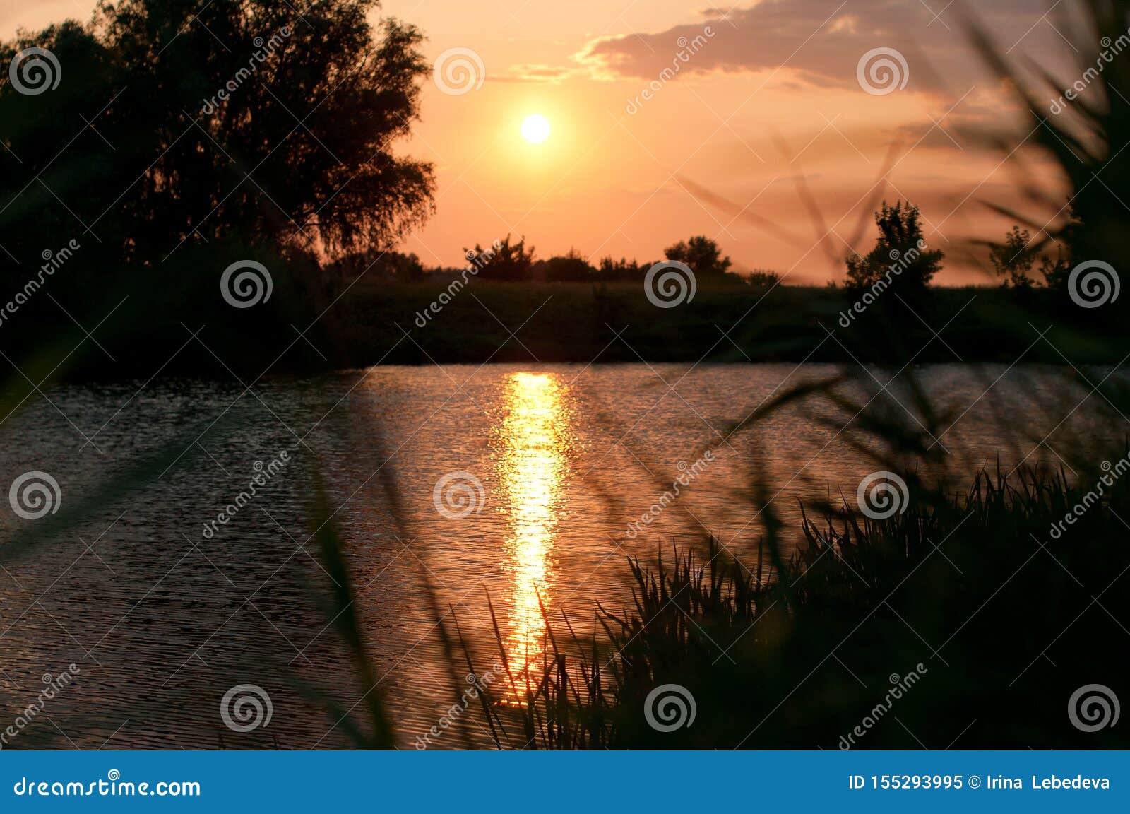 Evening Time with Pink Sunset on the River Stock Image - Image of river ...